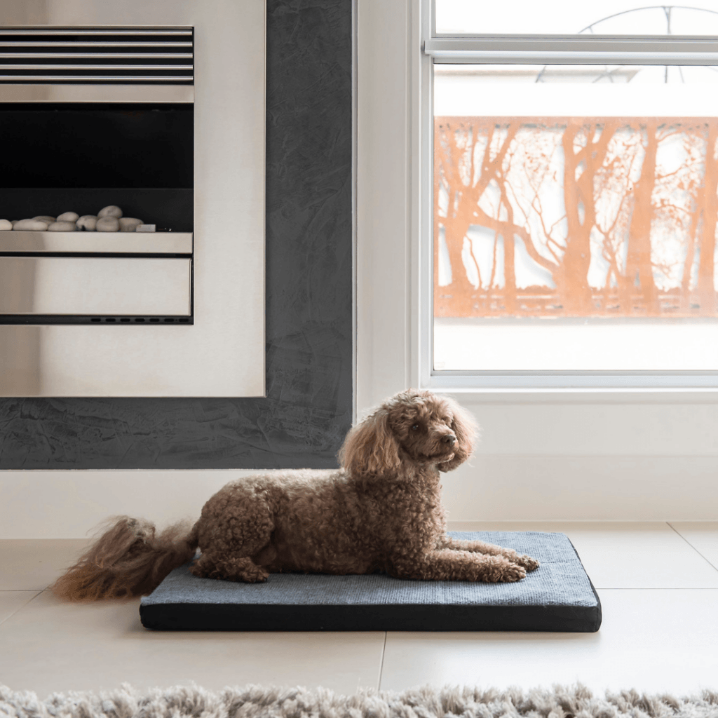 Hessian Dog Mat - Superior Pet Goods