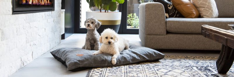 About Us - Superior Pet Goods