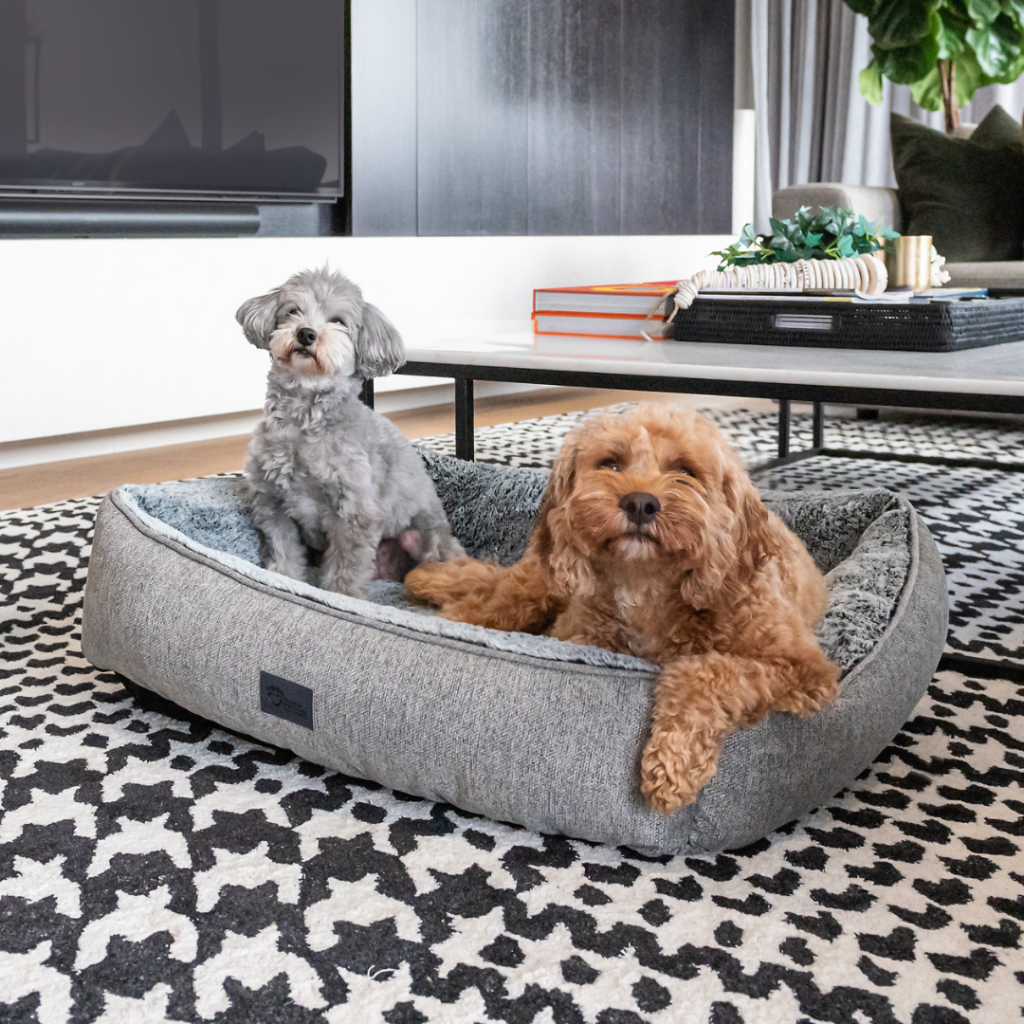 The dog bed that caters to every dog - Superior Pet Goods
