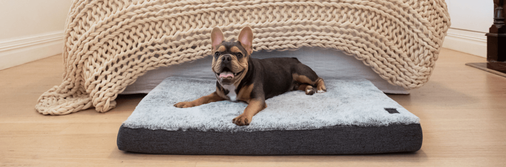 Exclusive Petbarn Range - Superior Pet Goods