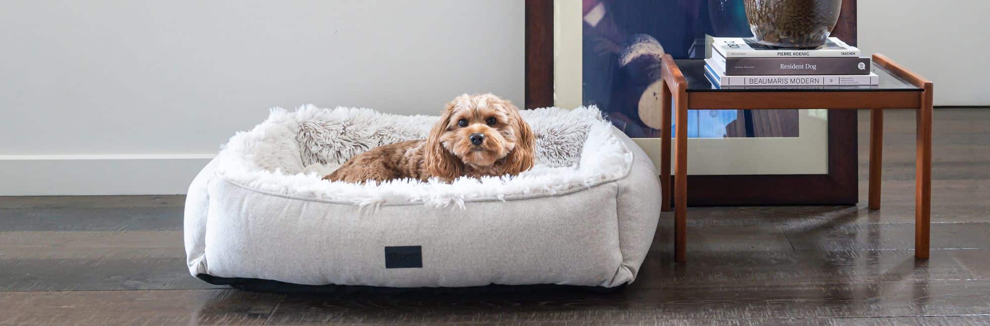 Home - Superior Pet Goods