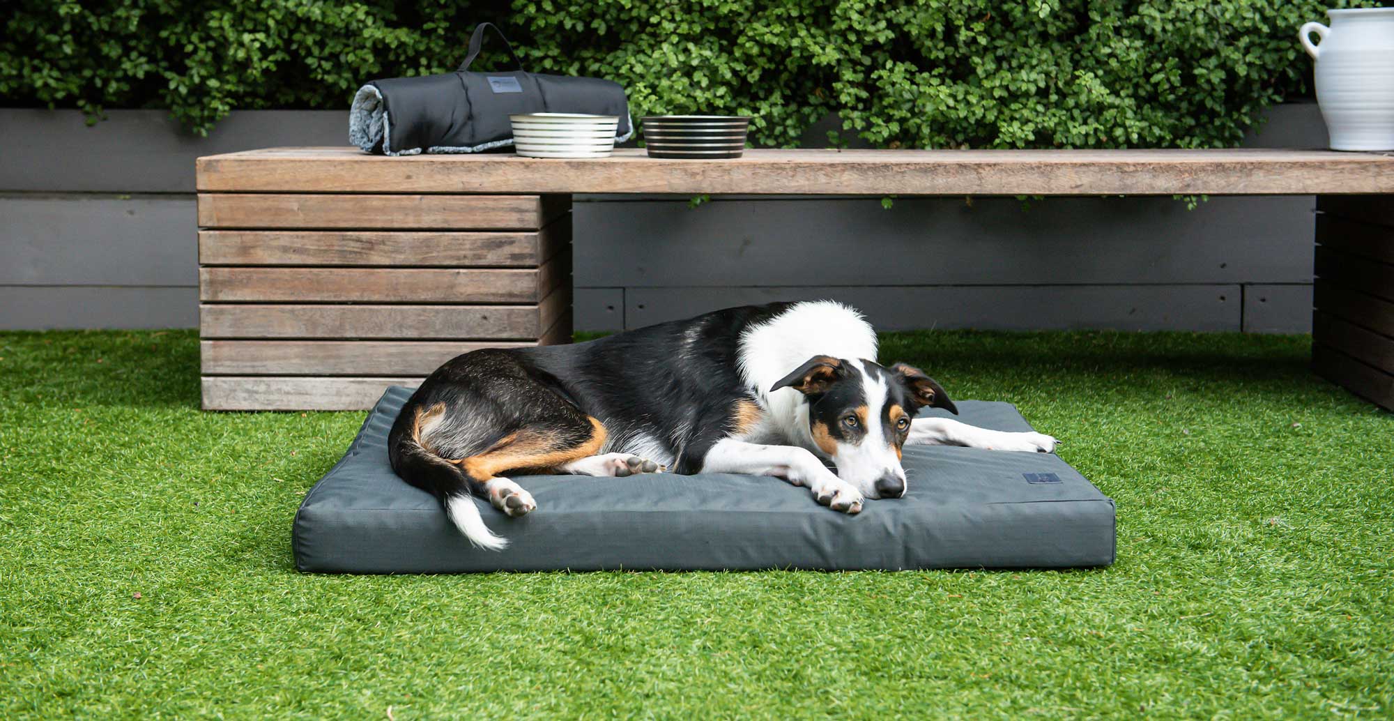 Orthopaedic Dog Mats Archives - Superior Pet Goods