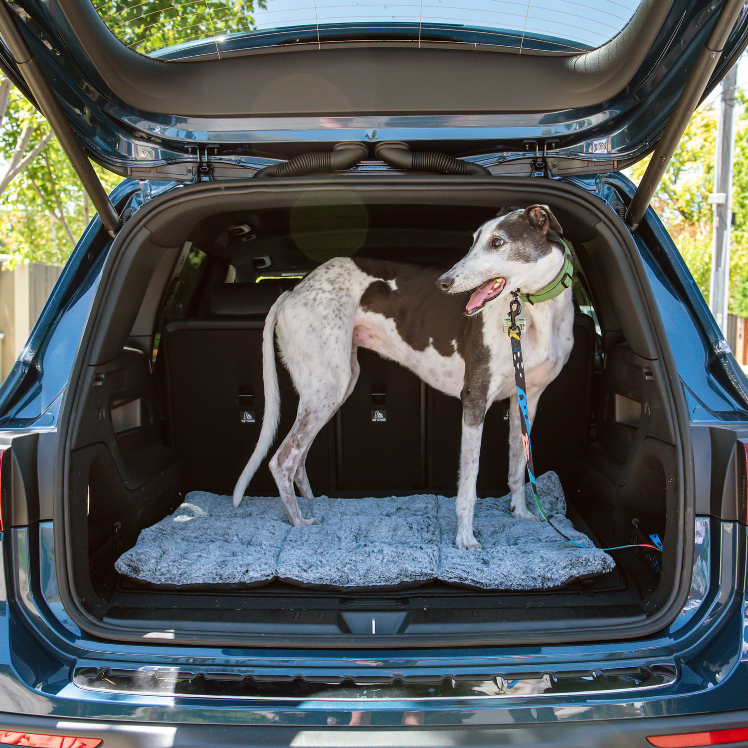 Dog Mats | Buy Australian Made | Superior Pet Goods