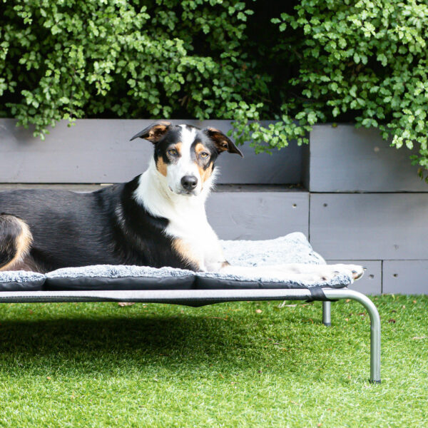 Rollup Pet Travel Mat - Superior Pet Goods