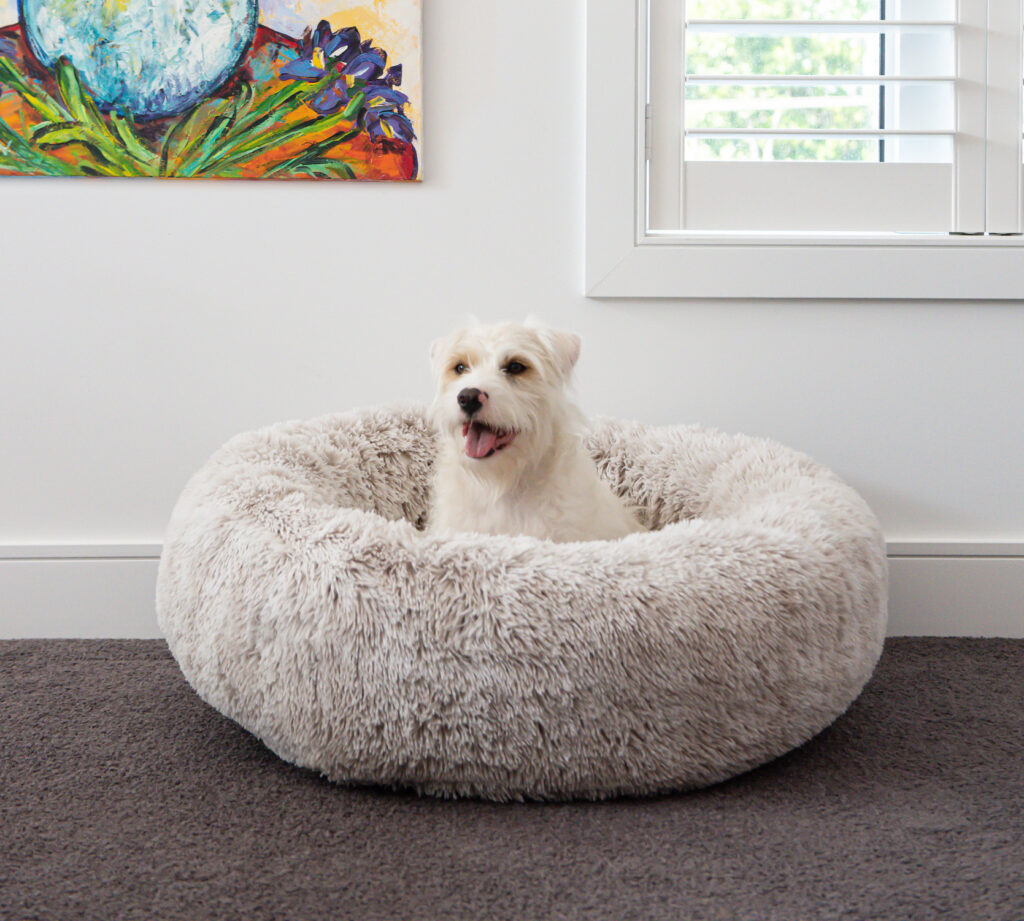 Hugzzz™ Memory Foam | Ortho Curl Up Cloud Calming Bed | Alpine ...
