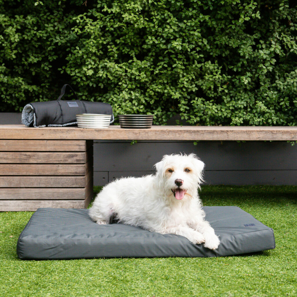 Dog Mats | Buy Australian Made | Superior Pet Goods