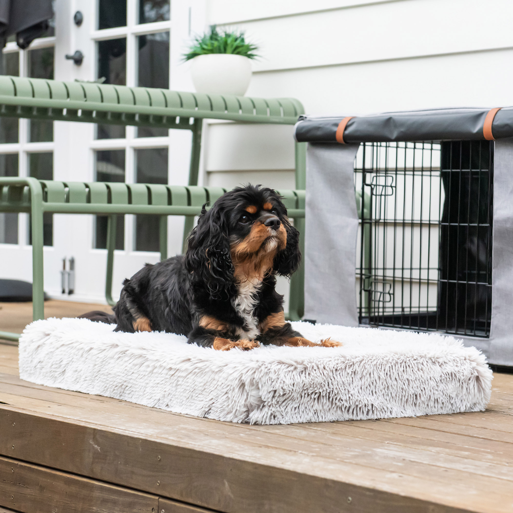 Crate Crate Accessories Archives Superior Pet Goods