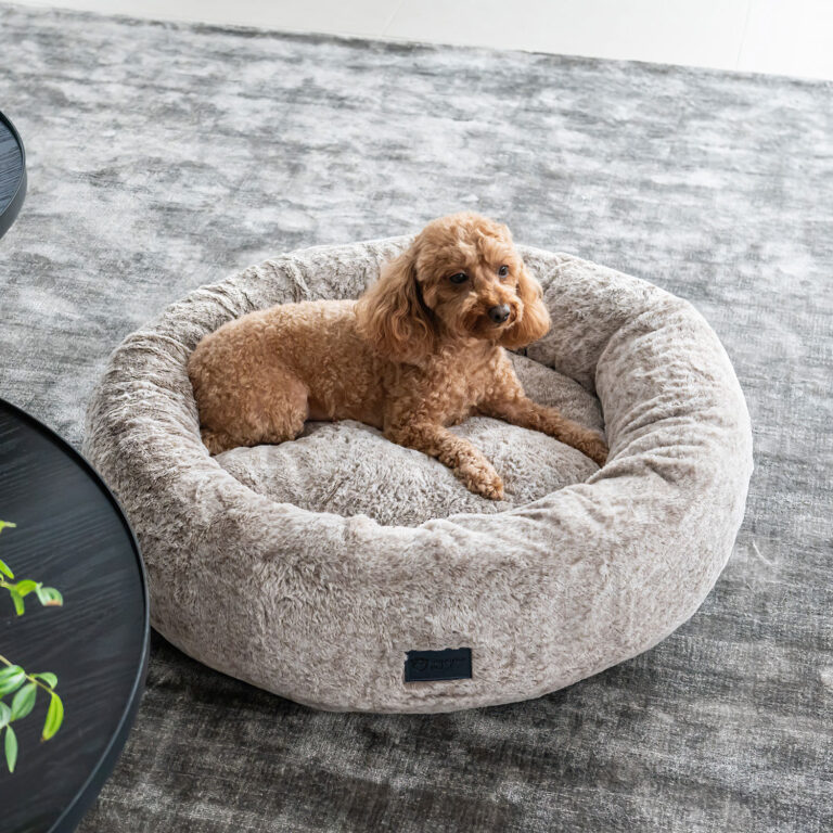 High-Quality Dog Beds Australia - Australian Made