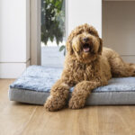 Water Resistant Dog Mats - Superior Pet Goods
