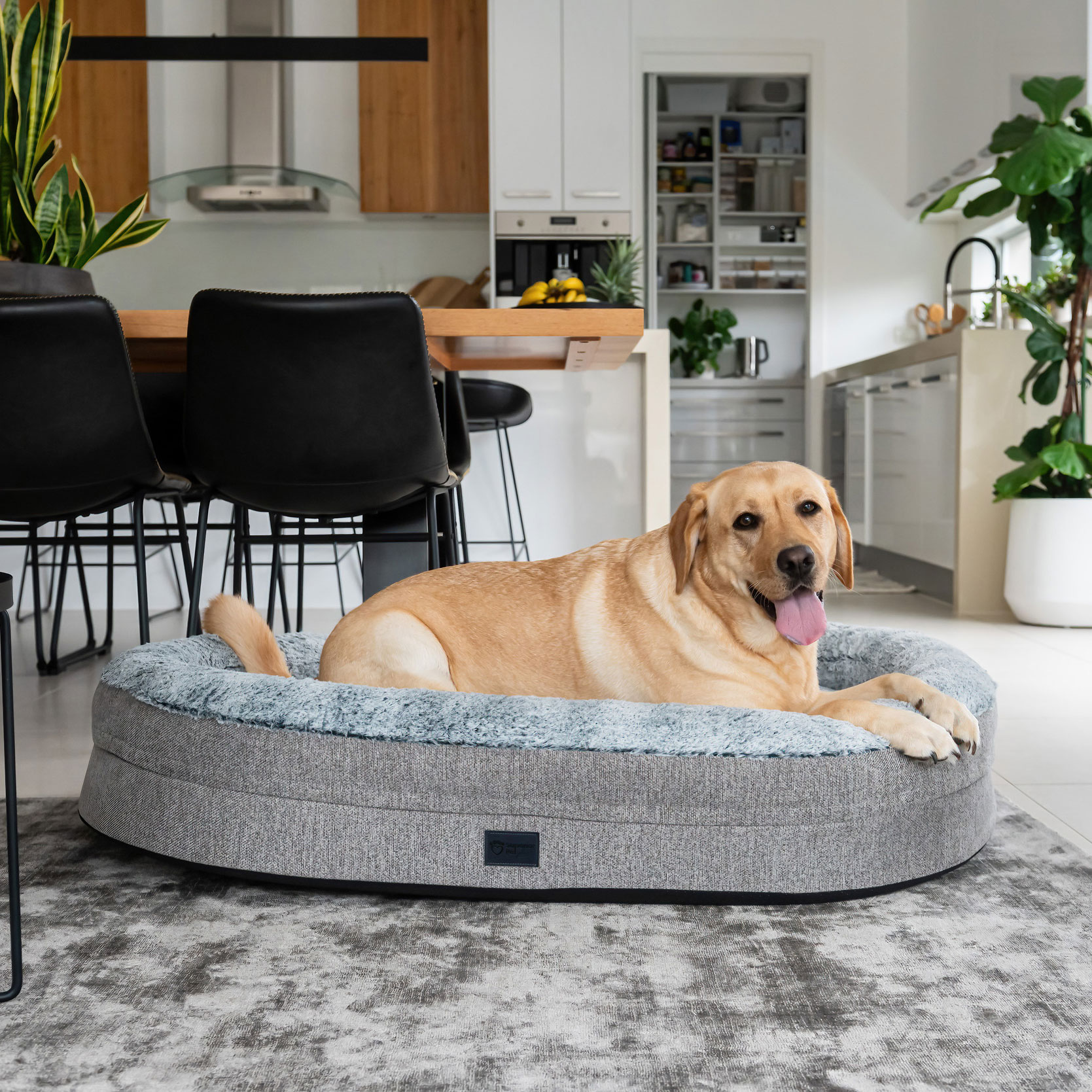 Orthopaedic Memory Rest - Superior Pet Goods
