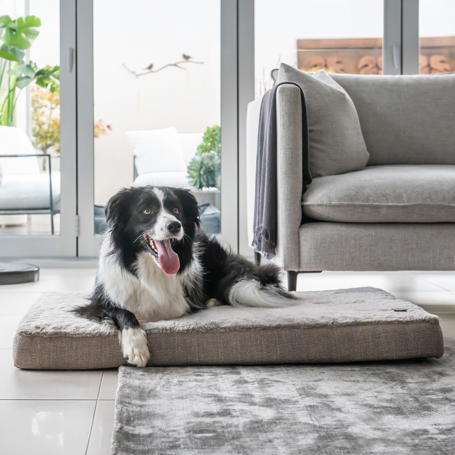 Dog Mats | Buy Australian Made | Superior Pet Goods