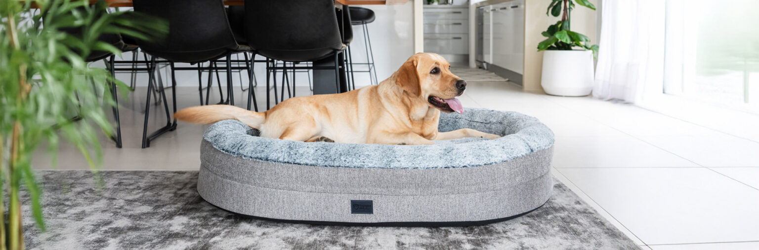 Enhance Your Pet's Comfort with an Orthopaedic Memory Foam Dog Bed